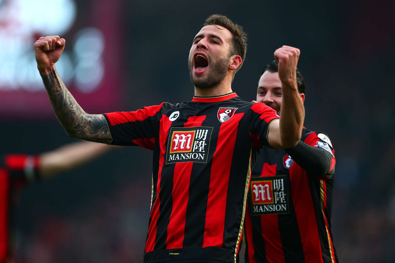 AFCB - 300 not out: The rise and rise of Steve Cook